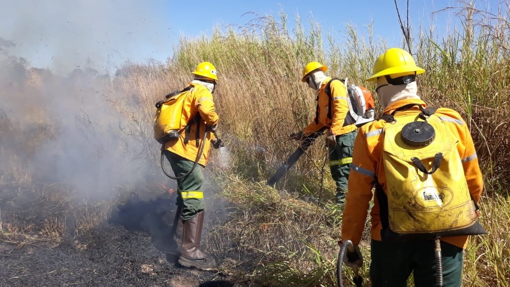 Queimadas controladas ajudam a prevenir incêndios no cerrado | NBN Paraíba